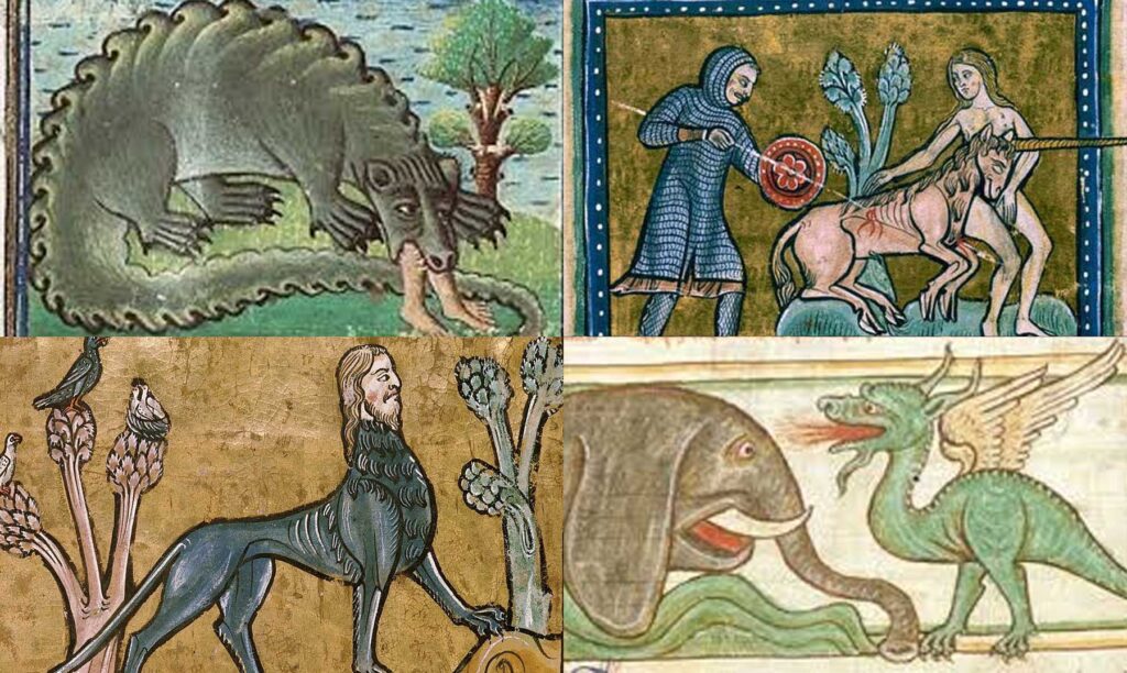 Agosto 2022 MEDIEVAL CL